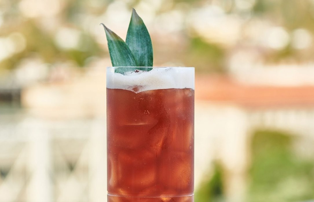 Home [www.studyhallrooftoplounge.com]